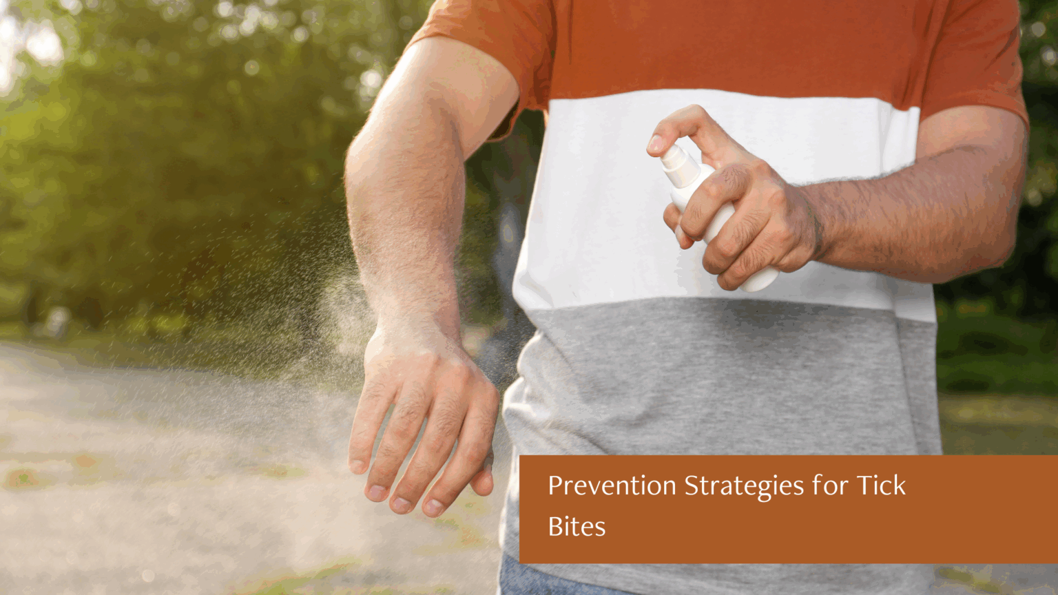 Tick Bite Marks What to Watch For and How to Prevent Them