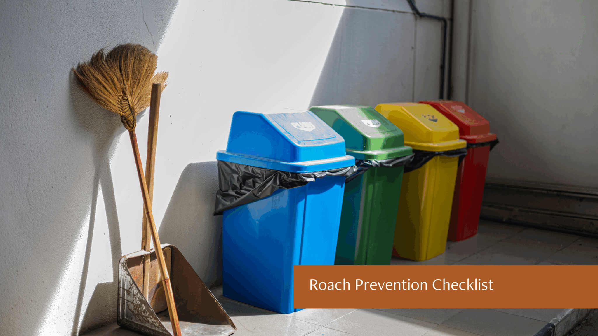 Roach Eggs at Home? Here’s How to Stop Them - Brooks Pest Solutions