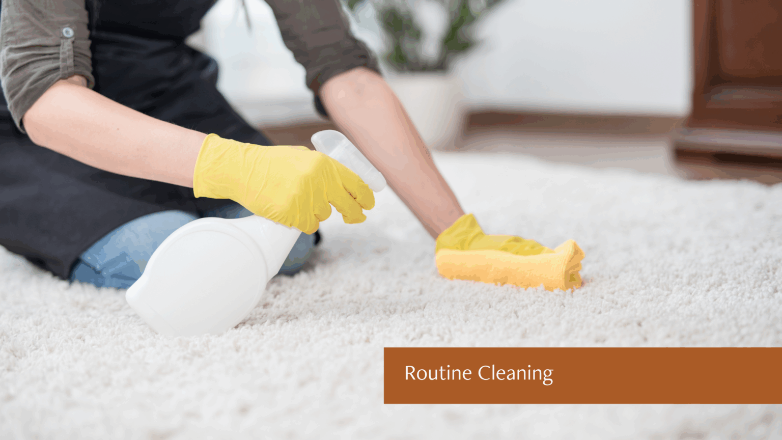 The Ultimate Guide to Getting Rid of Rug Beetles Naturally - Brooks ...