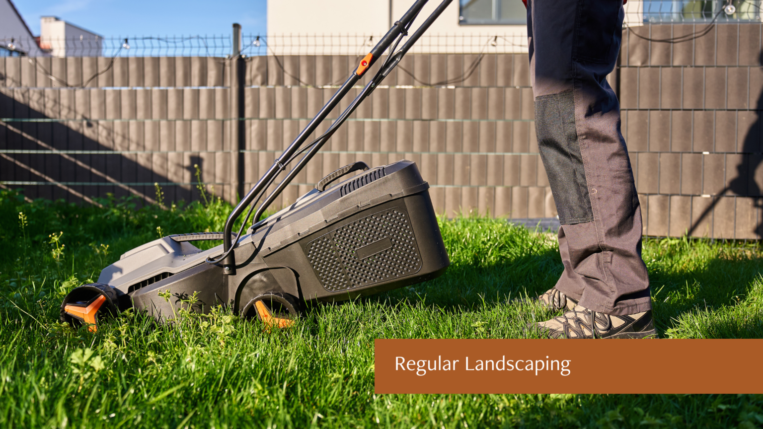 Fire Ant Bites: What Attracts Them and How to Keep Them Away for Good ...